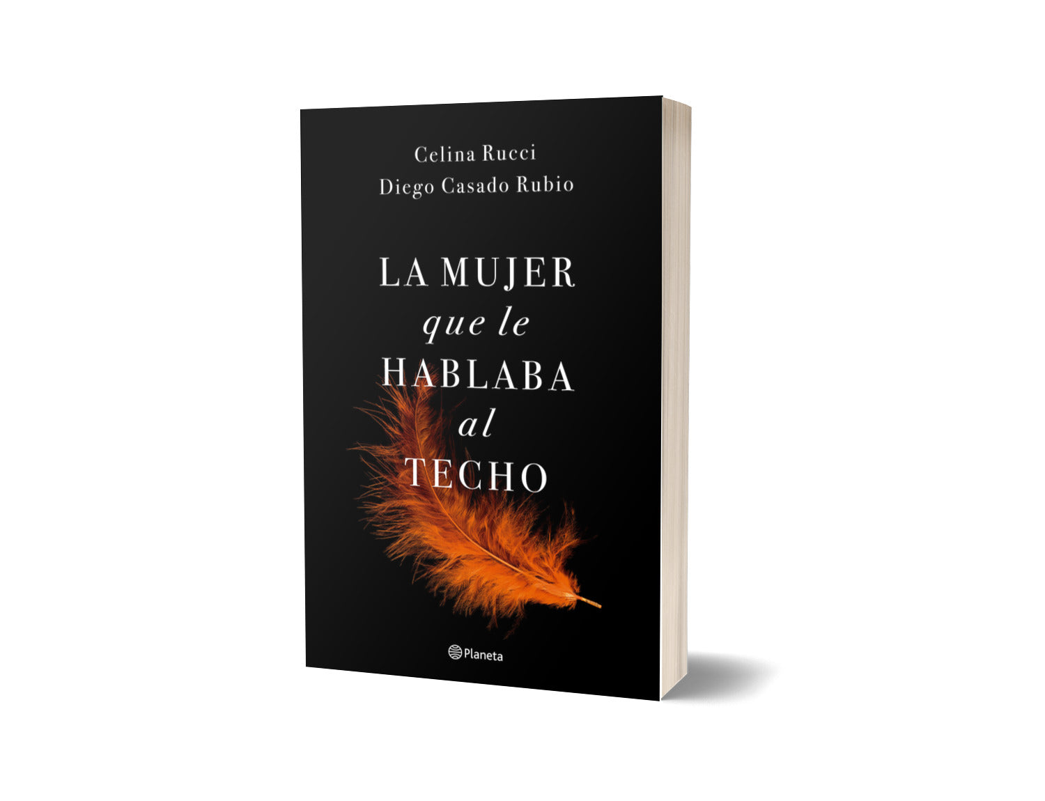 La mujer que le hablaba al techo - Celina Rucci | Diego Casado Rubio ...
