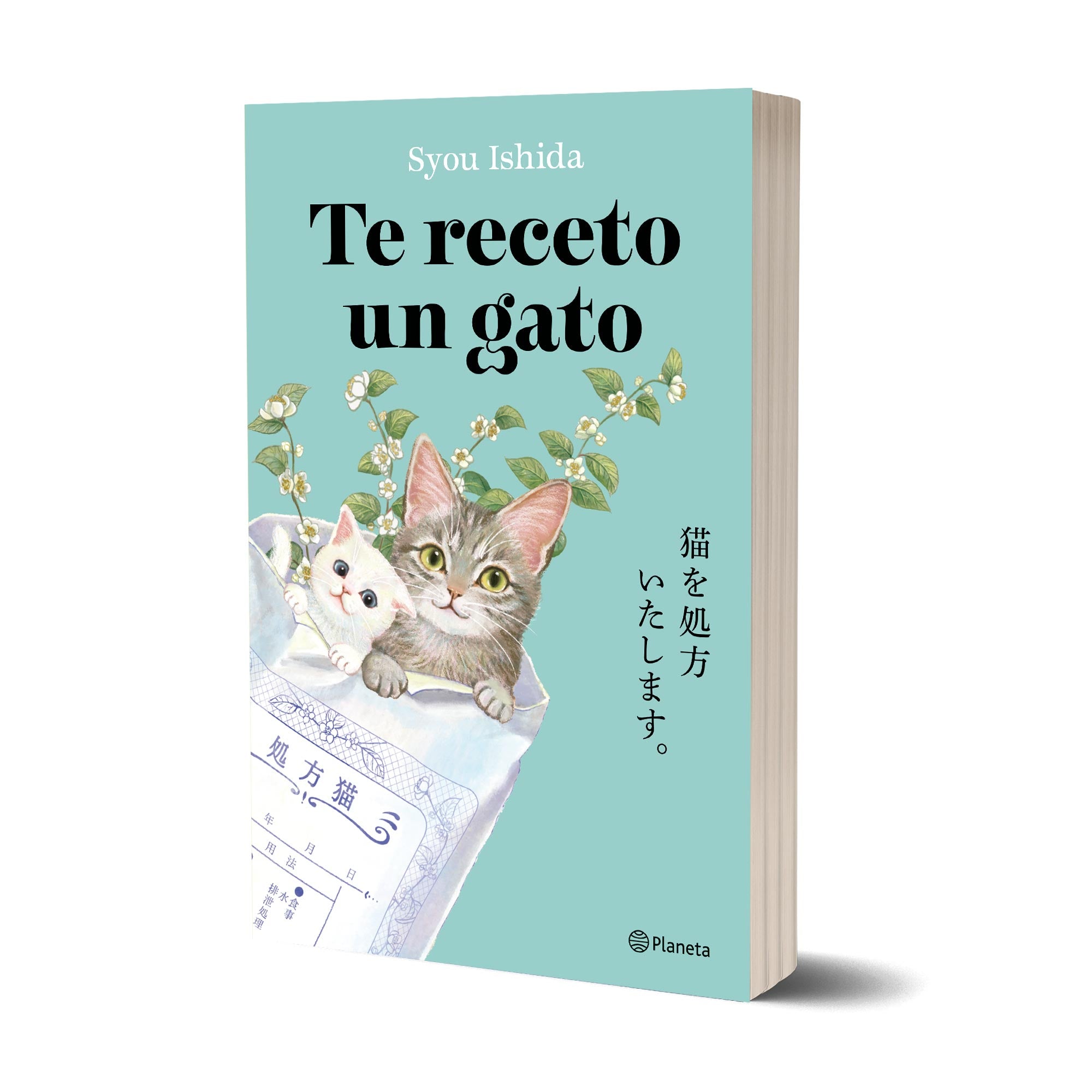 Te receto un gato - Syou Ishida – Planeta de Libros Argentina